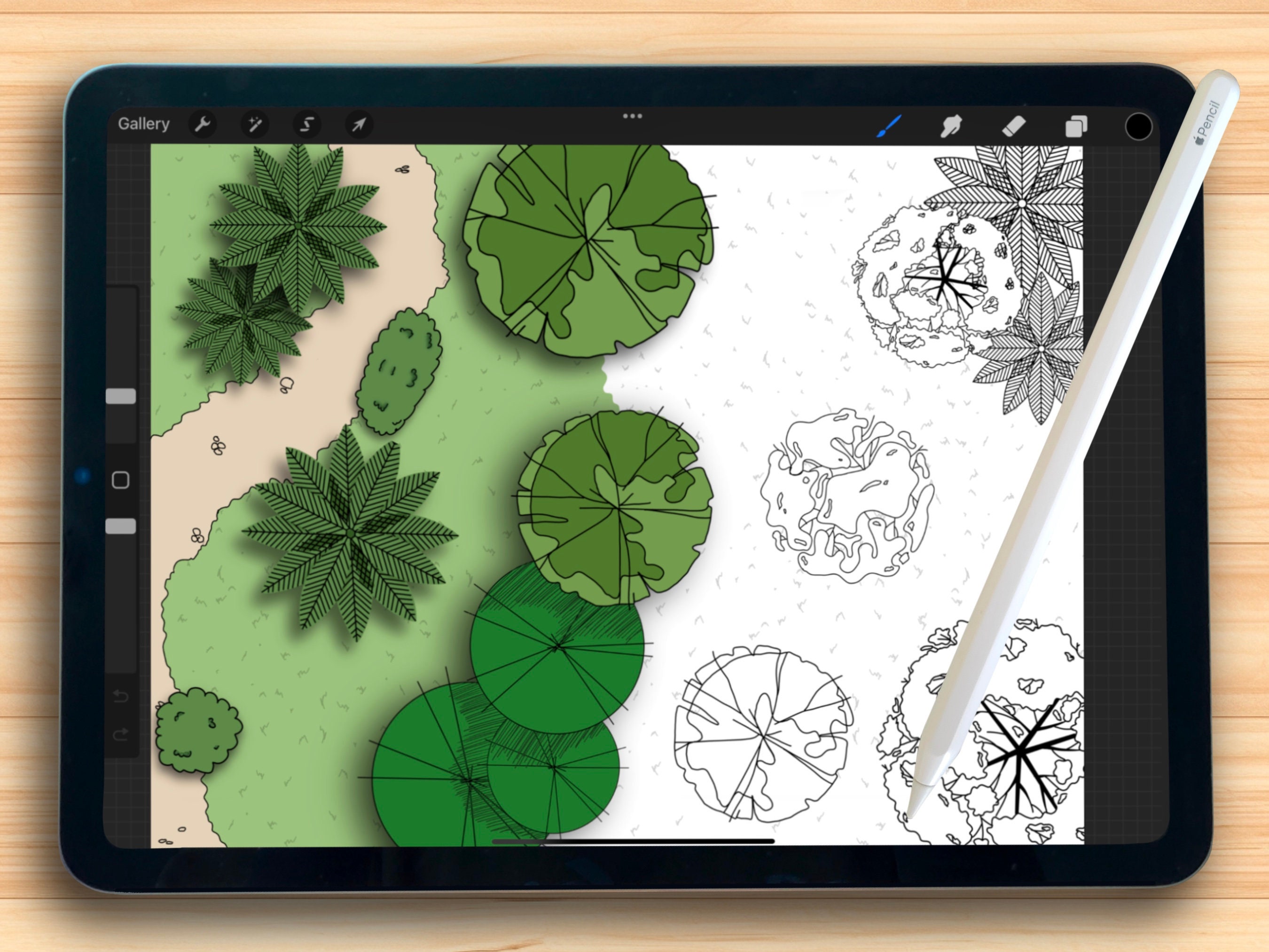 50 Tree Brushes for Architectural Plans - Digital Brush Set for ...