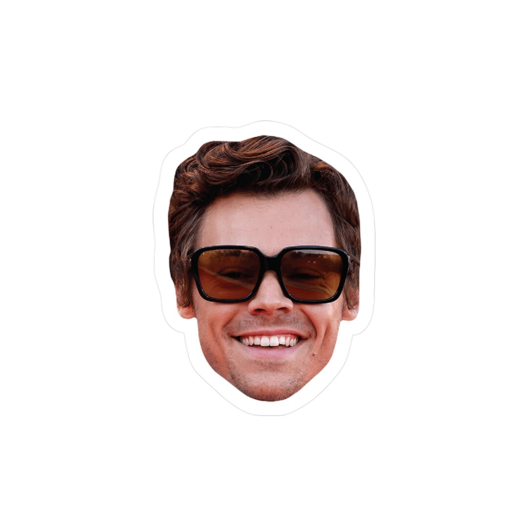 Harry Styles Head Sticker - Etsy