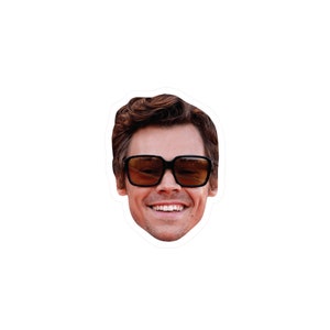 Harry Styles Head Sticker - Etsy