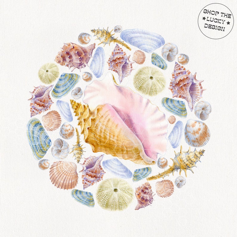 Sea Shells Png, Printable Watercolor Png, High Quality Png, Summer ...