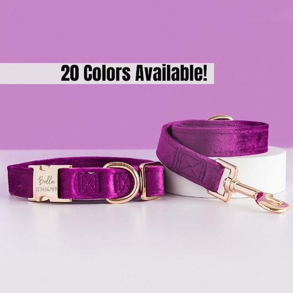 Purple Dog Collar - Etsy