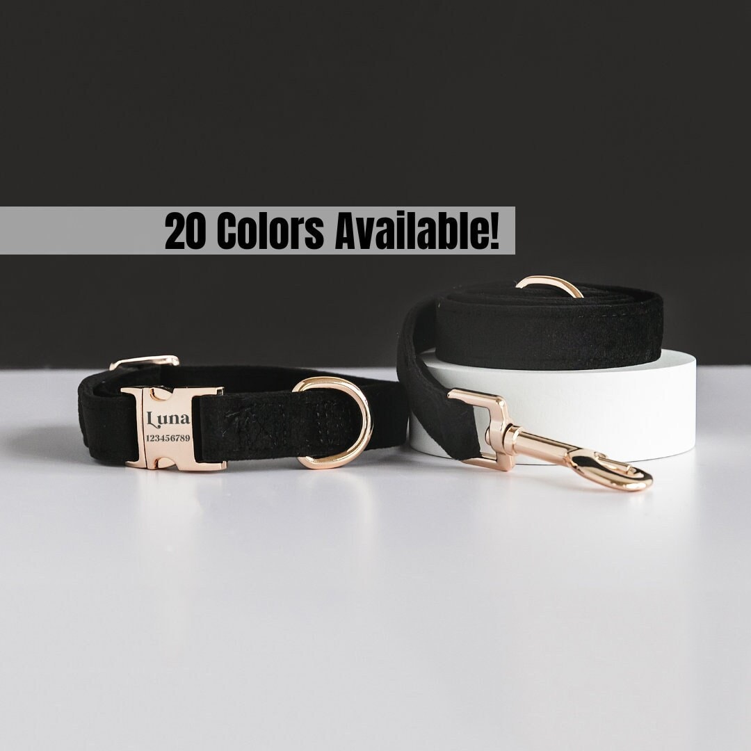 BLACK VELVET COLLAR, Classy Dog Collar, Wedding Collar, Personalized ...