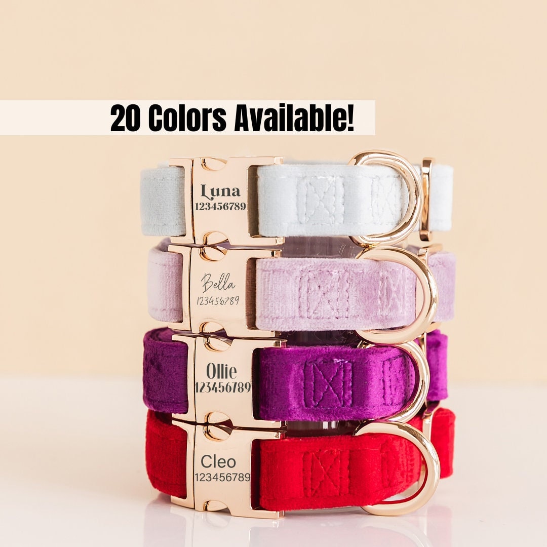 Multiple Colour Personalise Dog Collar Leash Set With Medal Buckle ...