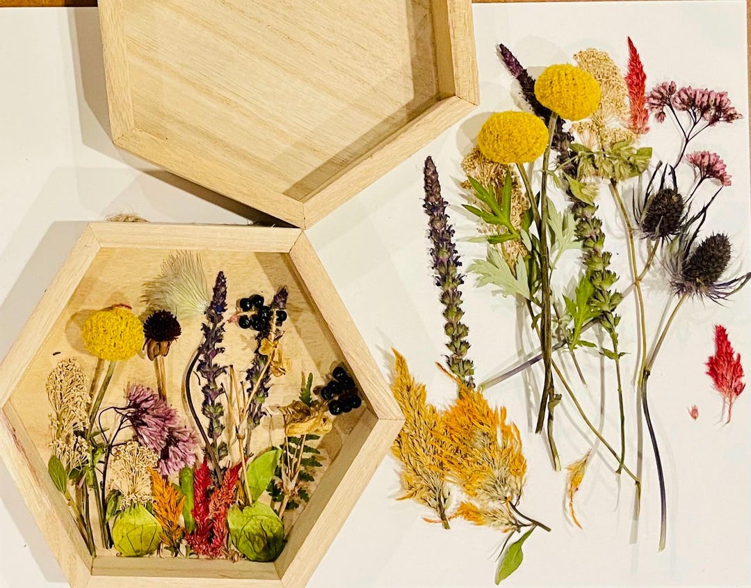 DIY Dried Flower Shadow Box Kit | Hexagon Shadow Box, All Included ...
