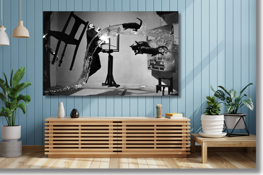 Dali Atomicus Canvas Print, Dali Atomicus by Philippe Halsman, Dali ...