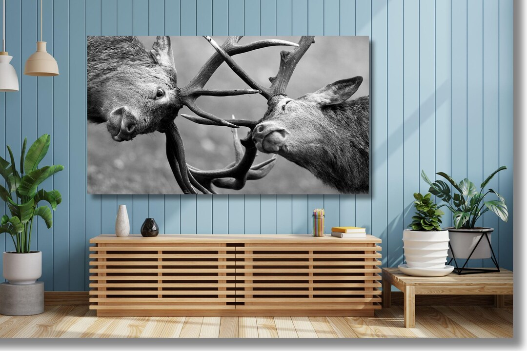 Stag Fight Canvas Print: Black & White Deer, Rustic Hunter Decor - Etsy