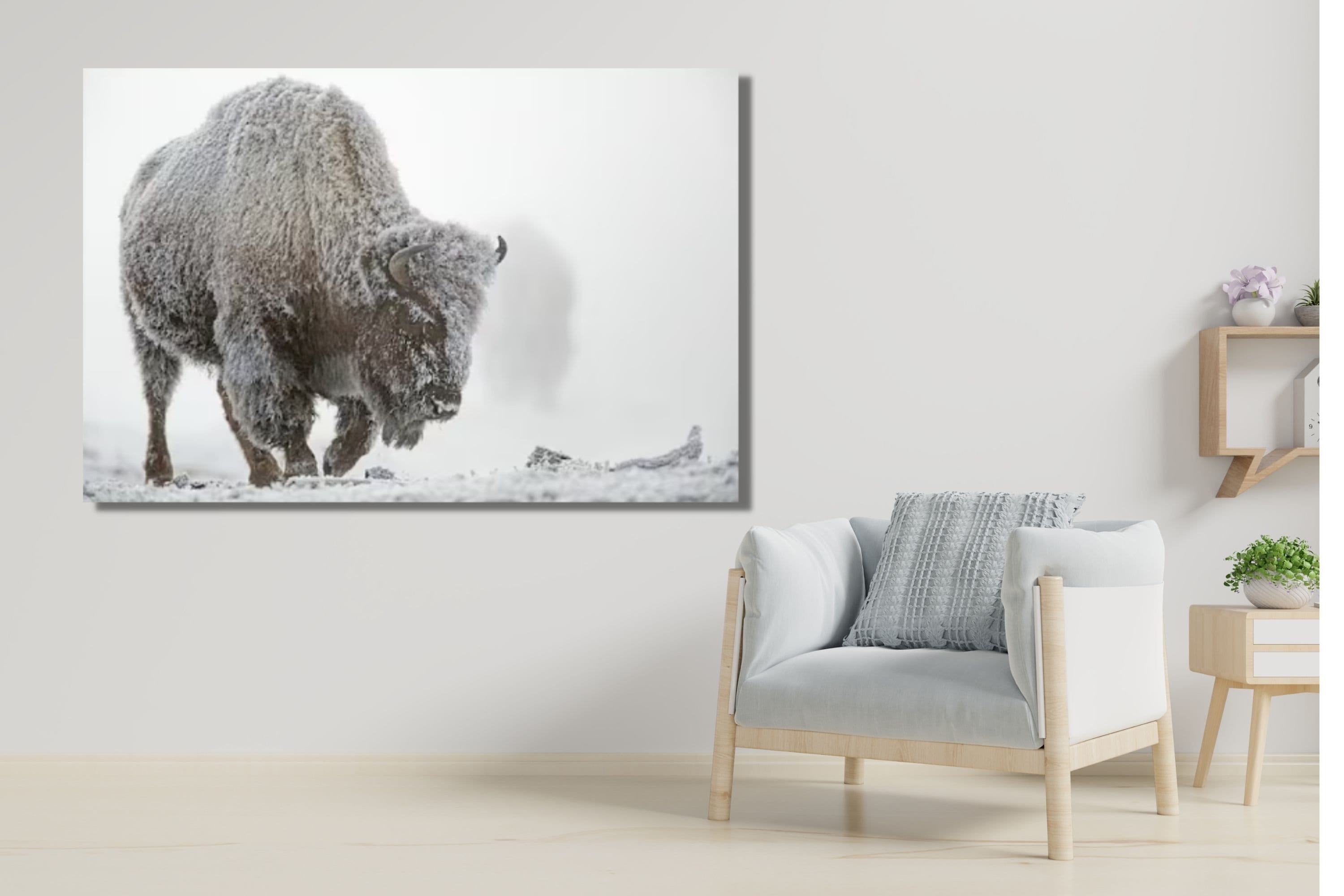 American Buffalo in Snow Original Pictures Art, Buffalo Wall Art ...