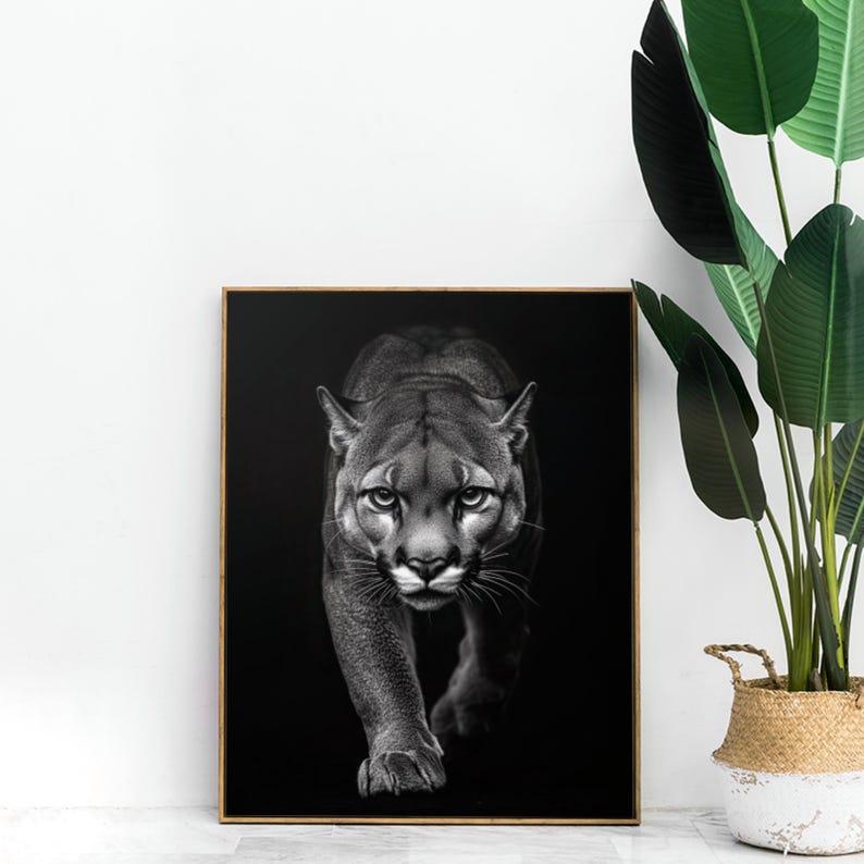 Puma Black and White, Walking Frontal View, Digital Canvas, Digital ...