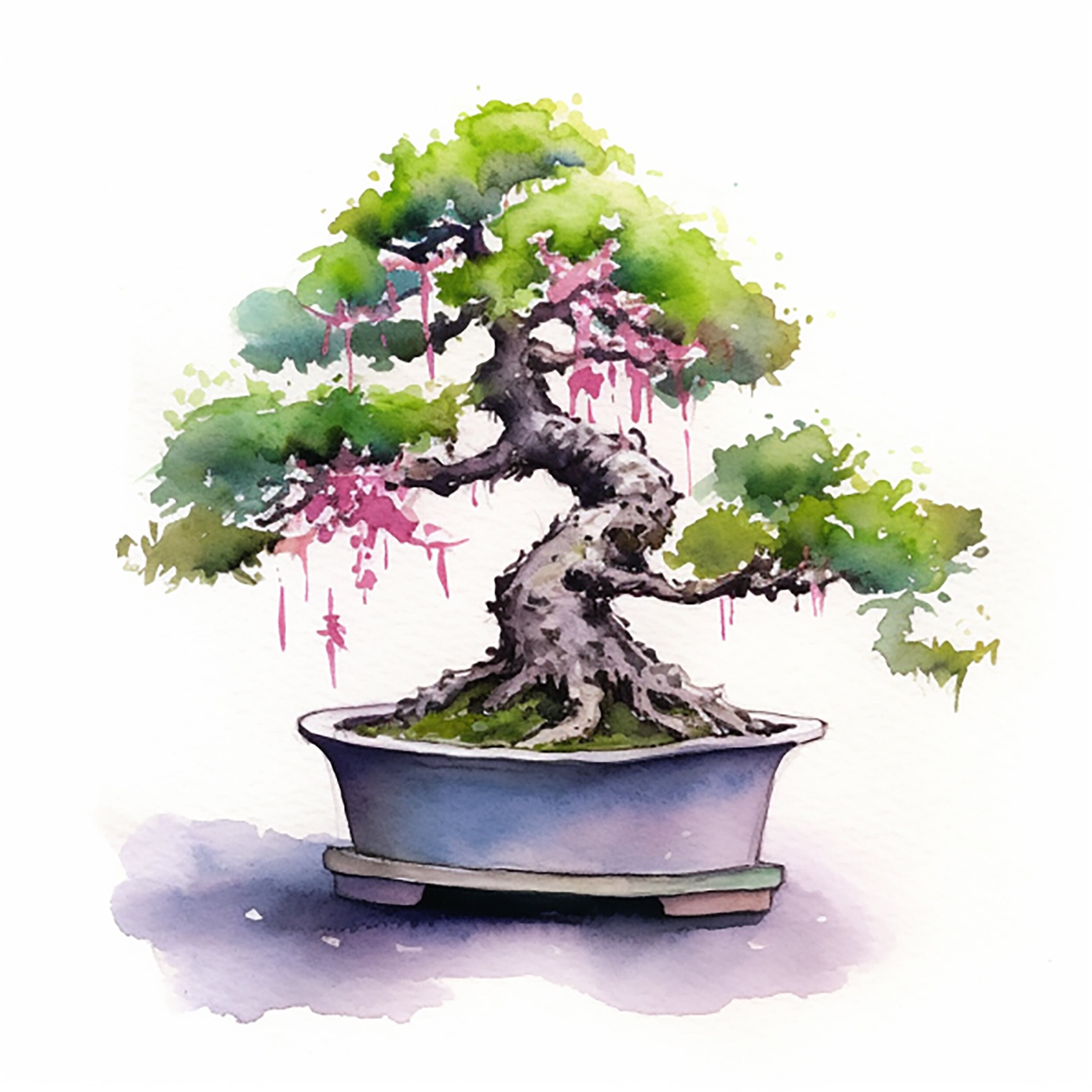 8 Japanese Bonsai Tree Watercolor Clipart - High Quality Jpgs, Digital ...