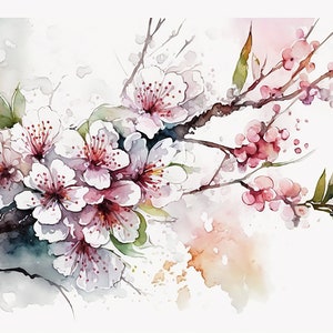 10 Japanese Cherry Blossom Watercolor Clipart (sakura) - 10 High ...