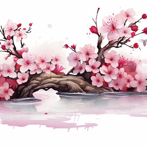 8 Japanese Sakura - Cherry Blossom Clipart - 8 High Quality Jpgs ...