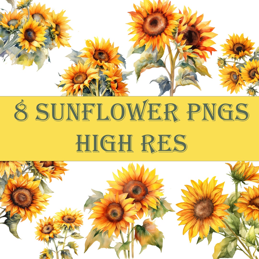 8 Summer Sunflowers Clipart - High Quality Pngs, Digital Download - Etsy