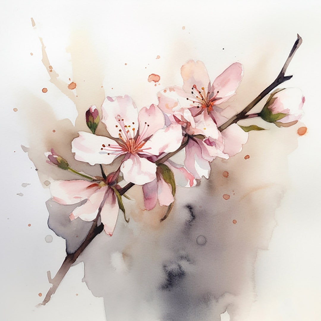 Premium Japanese Sakura - Cherry Blossom Watercolor Clipart - 8 High ...