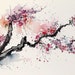 10 Japanese Cherry Blossom Watercolor Clipart (sakura) - 10 High ...