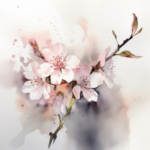 Premium Japanese Sakura - Cherry Blossom Watercolor Clipart - 8 High ...