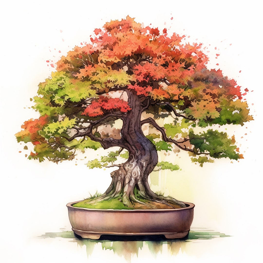 8 Japanese Bonsai Tree Watercolor Clipart - High Quality Jpgs, Digital ...