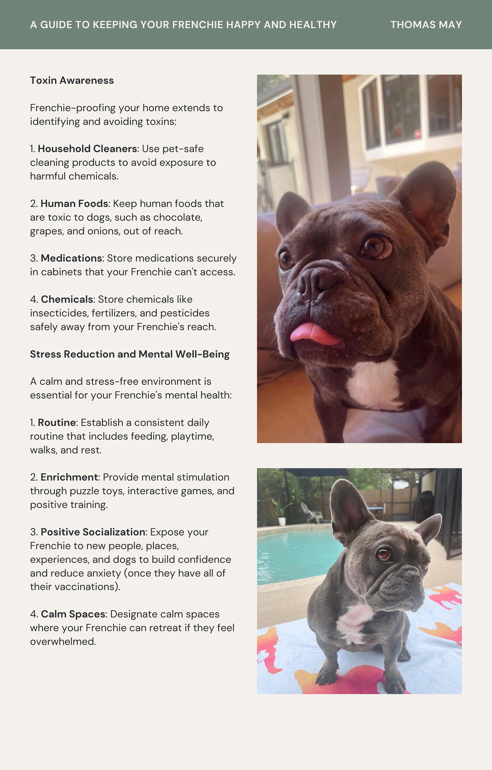 French Bulldog Health Guide: Keeping Your French Bulldog Happy and ...