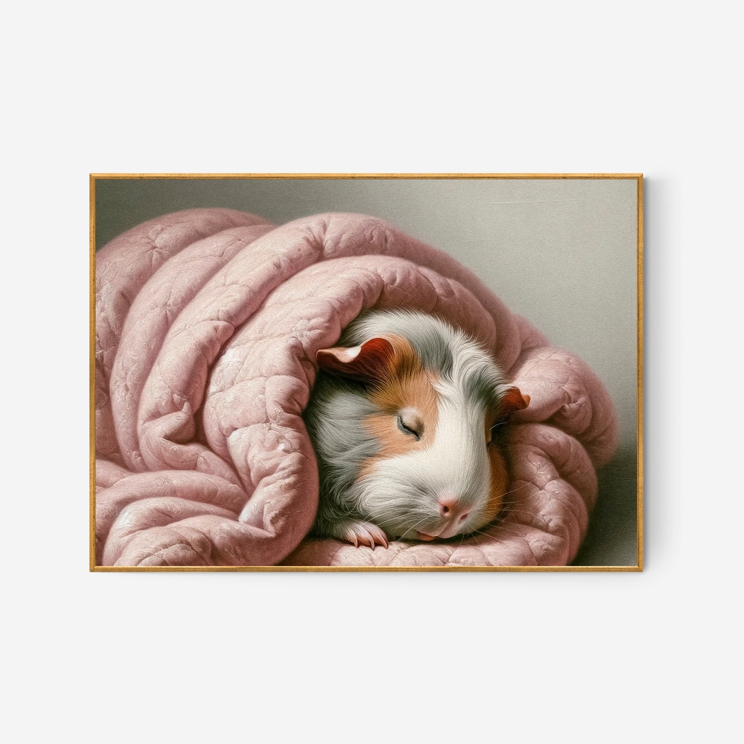 PRINTABLE | Cuddly Composure: A Sleepy Guinea Pig Wrapped in Warmth and ...