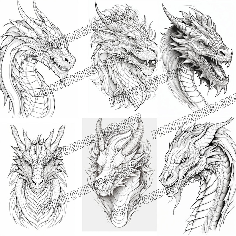 Dragon Bundle 2- Coloring Pages (40) - Etsy