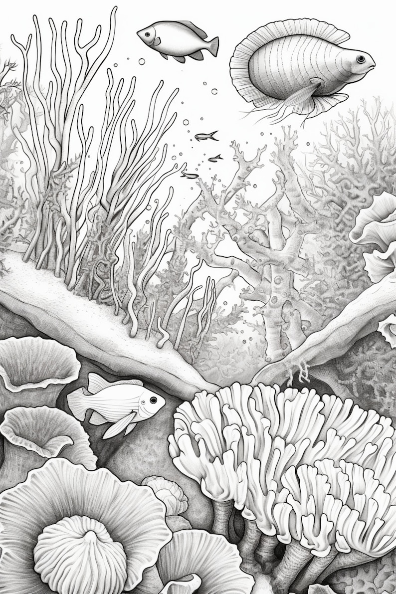 Ocean Creatures 5- Coloring Pages (5) - Etsy