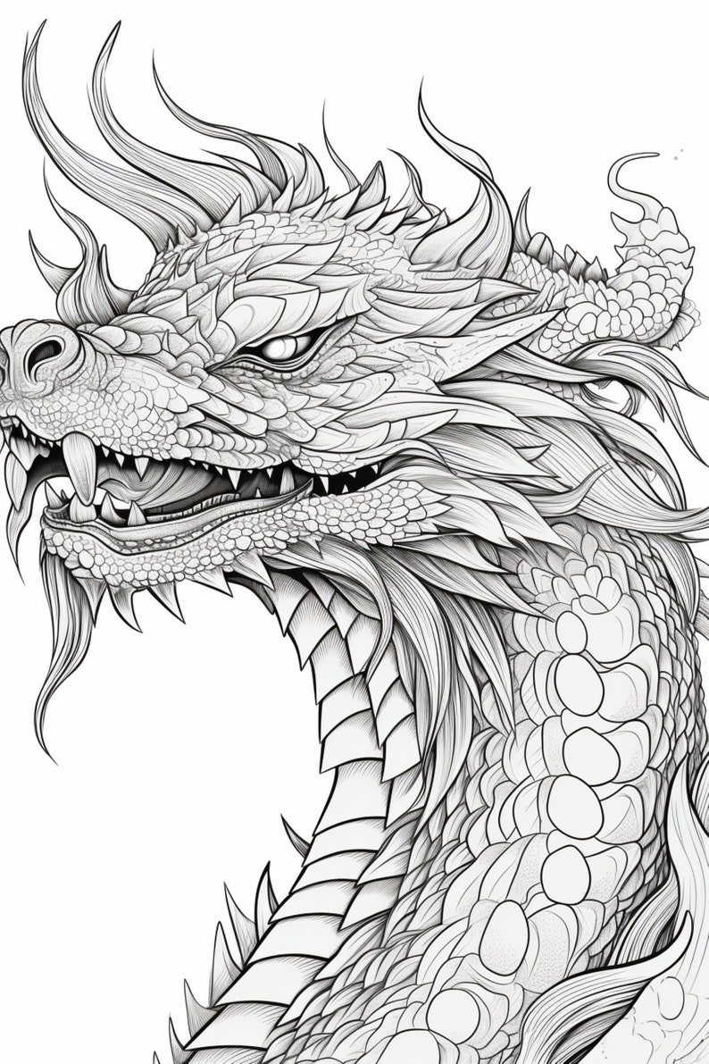 Dragon 12- Coloring Pages (5) - Etsy