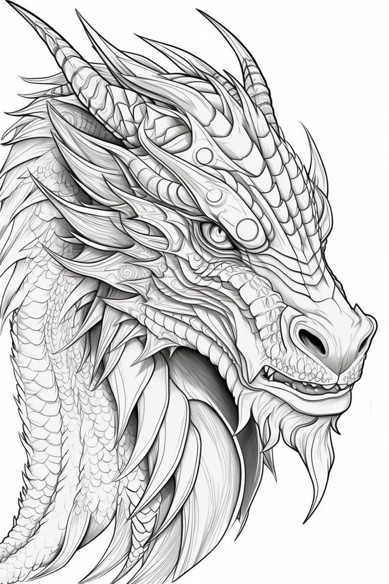 Dragon 16- Coloring Pages (5) - Etsy
