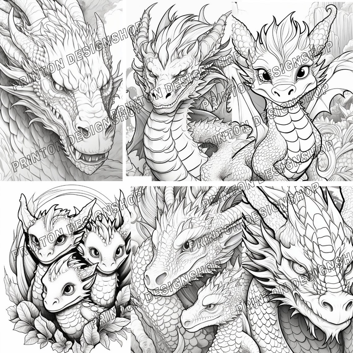 Dragon Bundle 1- Coloring Pages (40) - Etsy