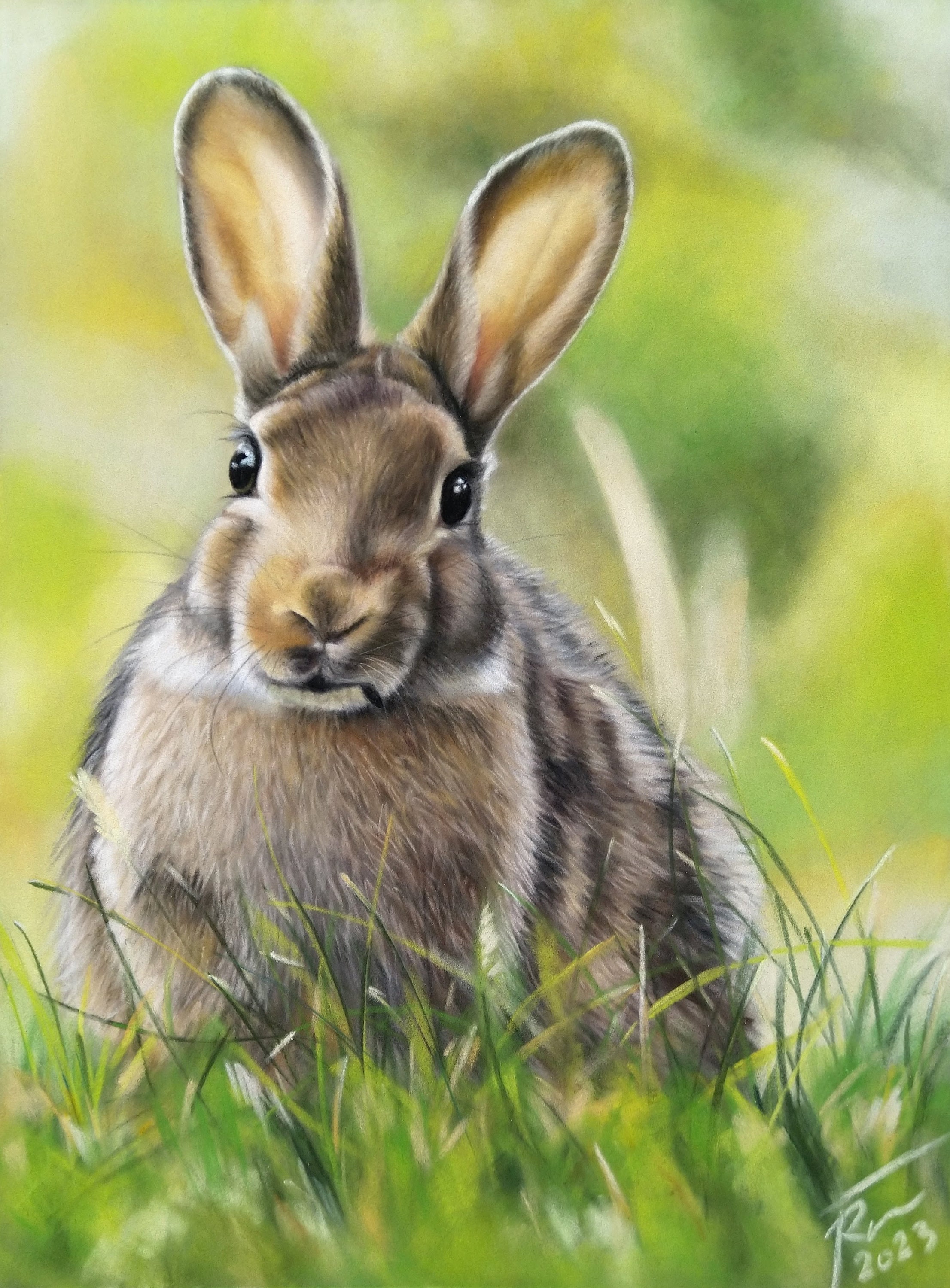 Soft Pastel Pets and Animal Portraits - Etsy