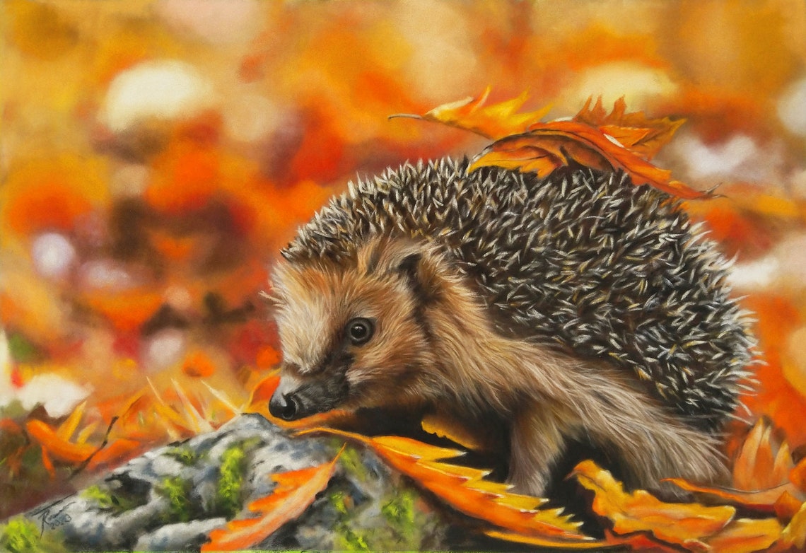 Soft Pastel Pets and Animal Portraits - Etsy