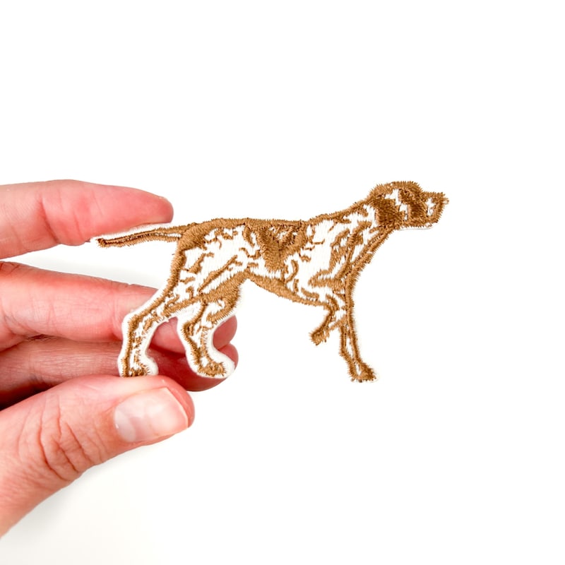 English Pointer Dog - Etsy