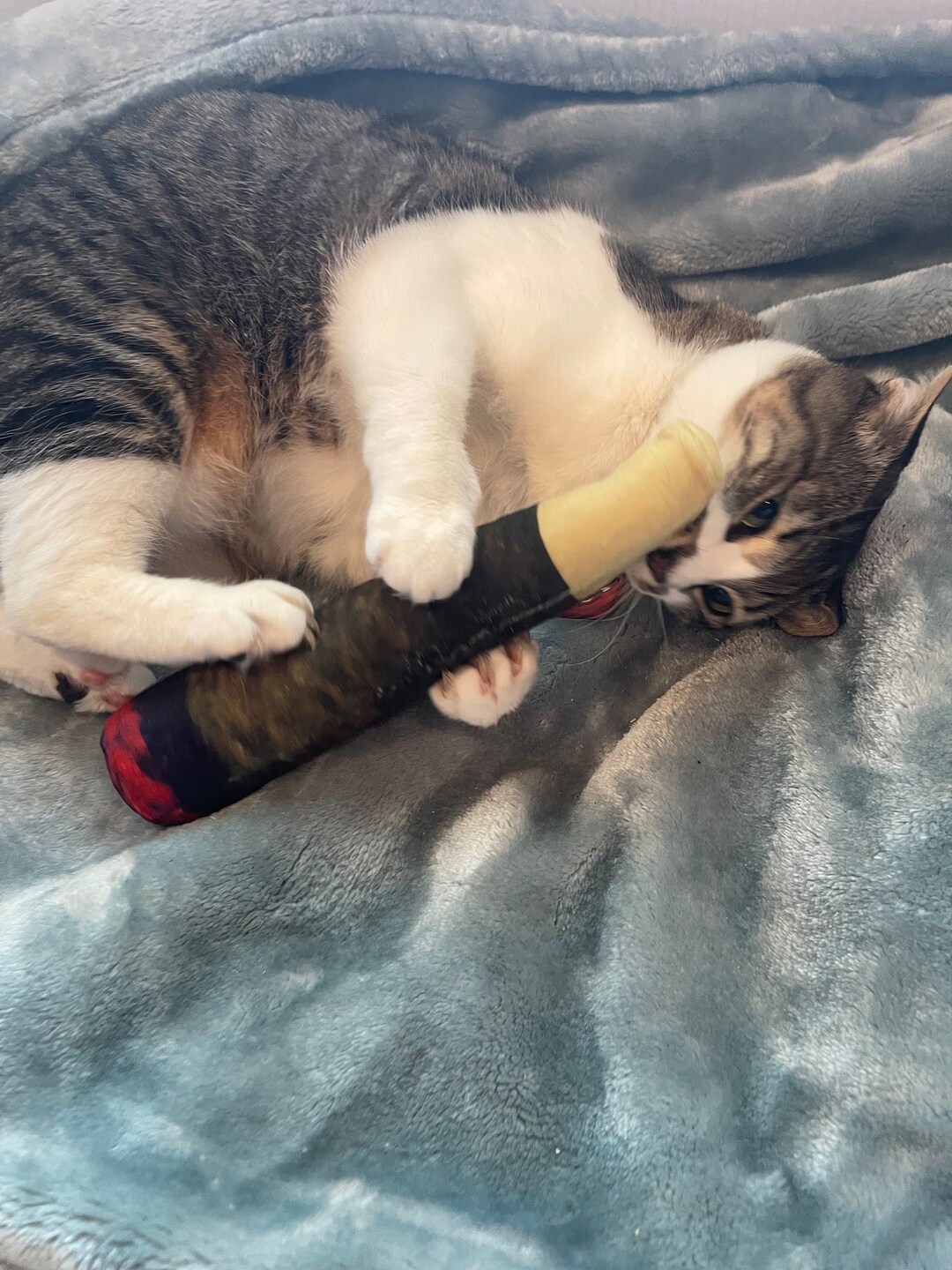 Cat Kicker Joint Catnip Toy - Etsy