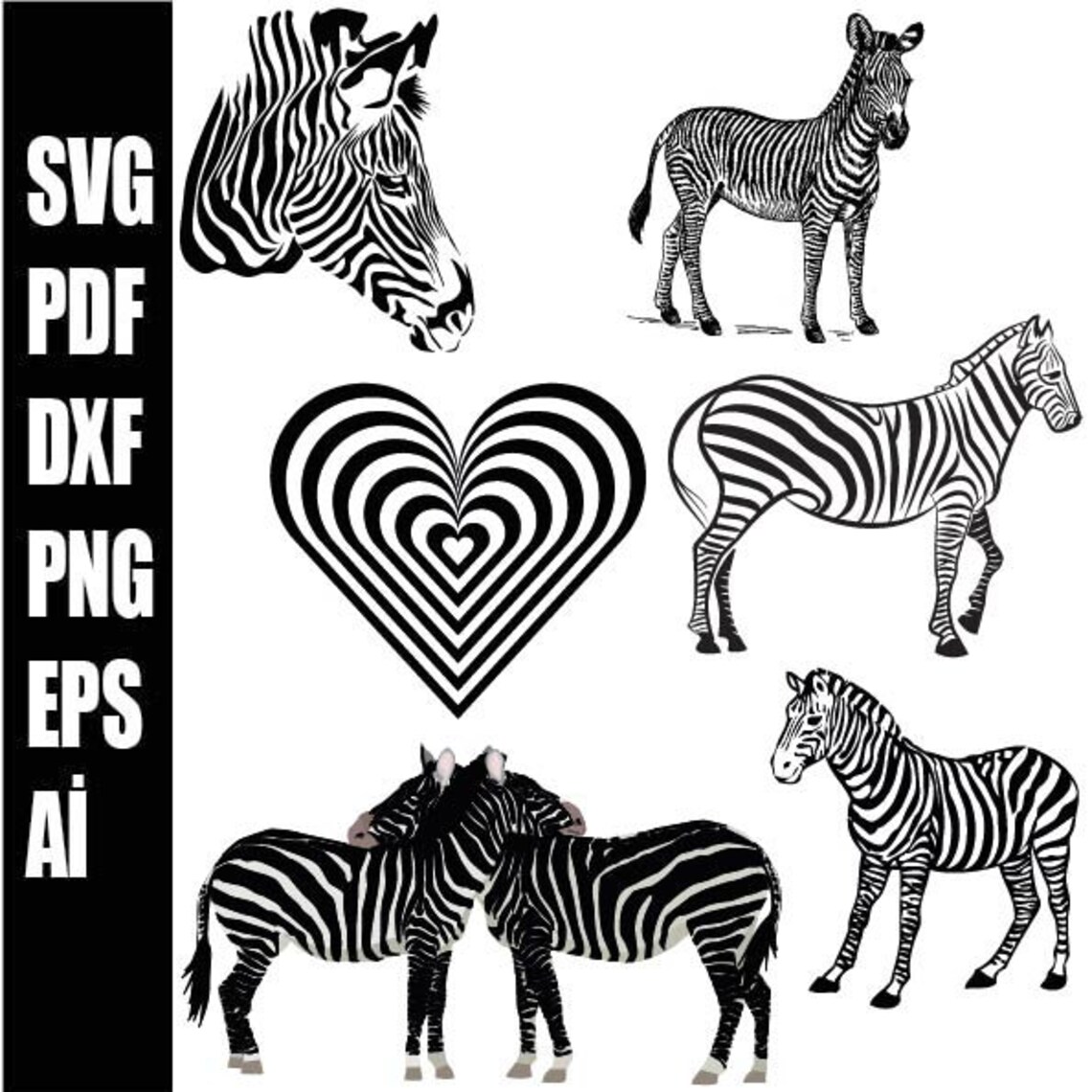 Zebra Vector Set - Zebra SVG, Zebra Clipart, Zebra Files, Zebra ...