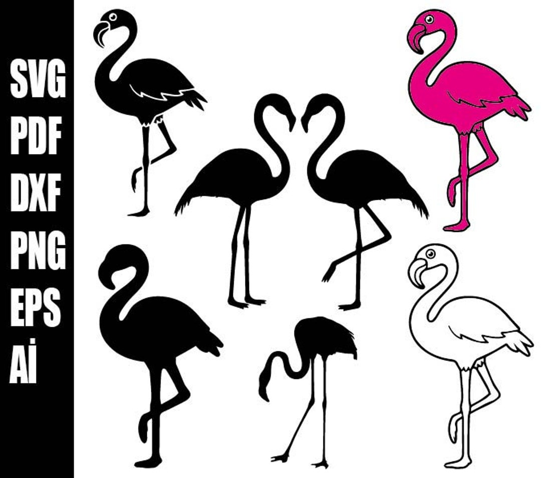 Flamingo Svg, Flamingo Clipart, Flamingo Png, Flamingo Head, Flamingo ...