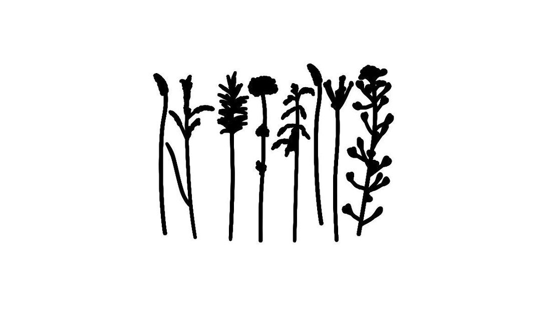 Gerber Flower Plug Wooden Flowers DIY Idea Decoration Living Room 72 - Etsy