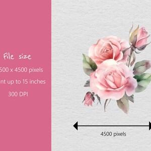 Pink Roses Watercolour Clip Art Set of 16 Designs - Etsy
