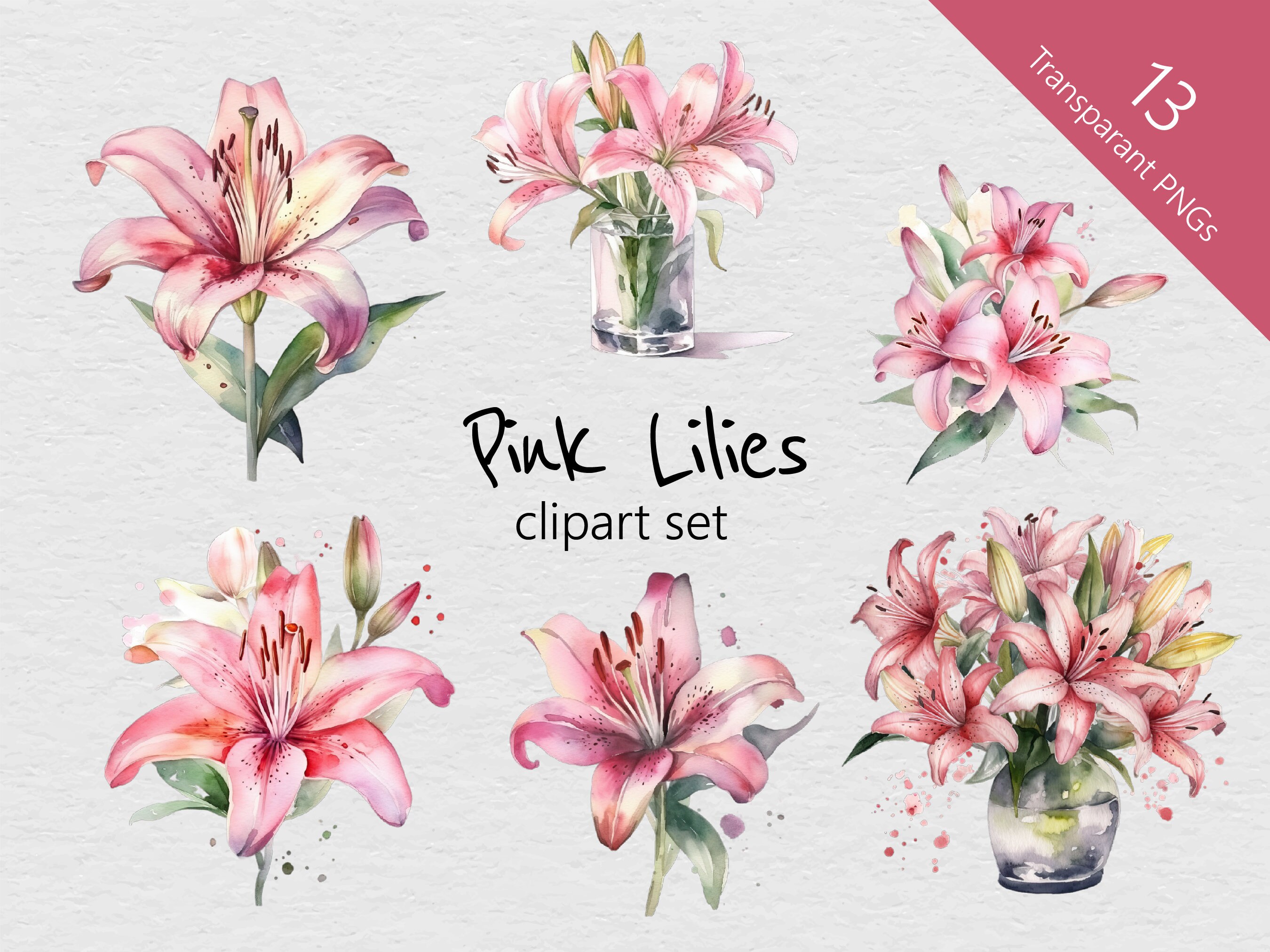 Pink Lilies Watercolour Clip Art - 13 Designs - Transparent PNG ...