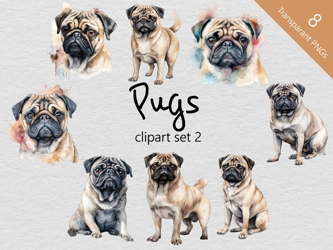 Pugs Watercolour Clip Art Set 2 Set of 8 Designs Transparent Pngs ...