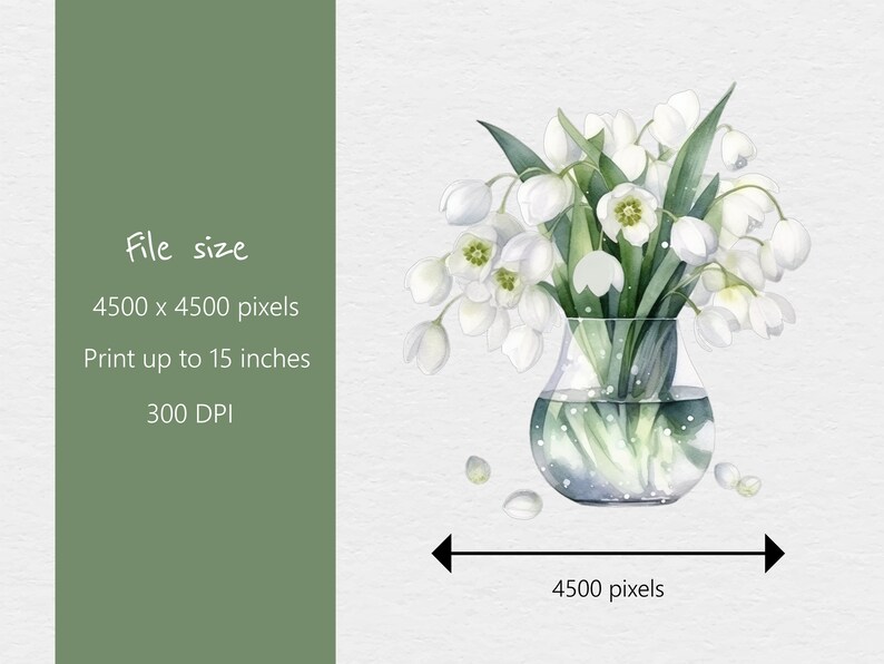Snowdrop Watercolour Clip Art - 12 Designs - Transparent PNG - January ...
