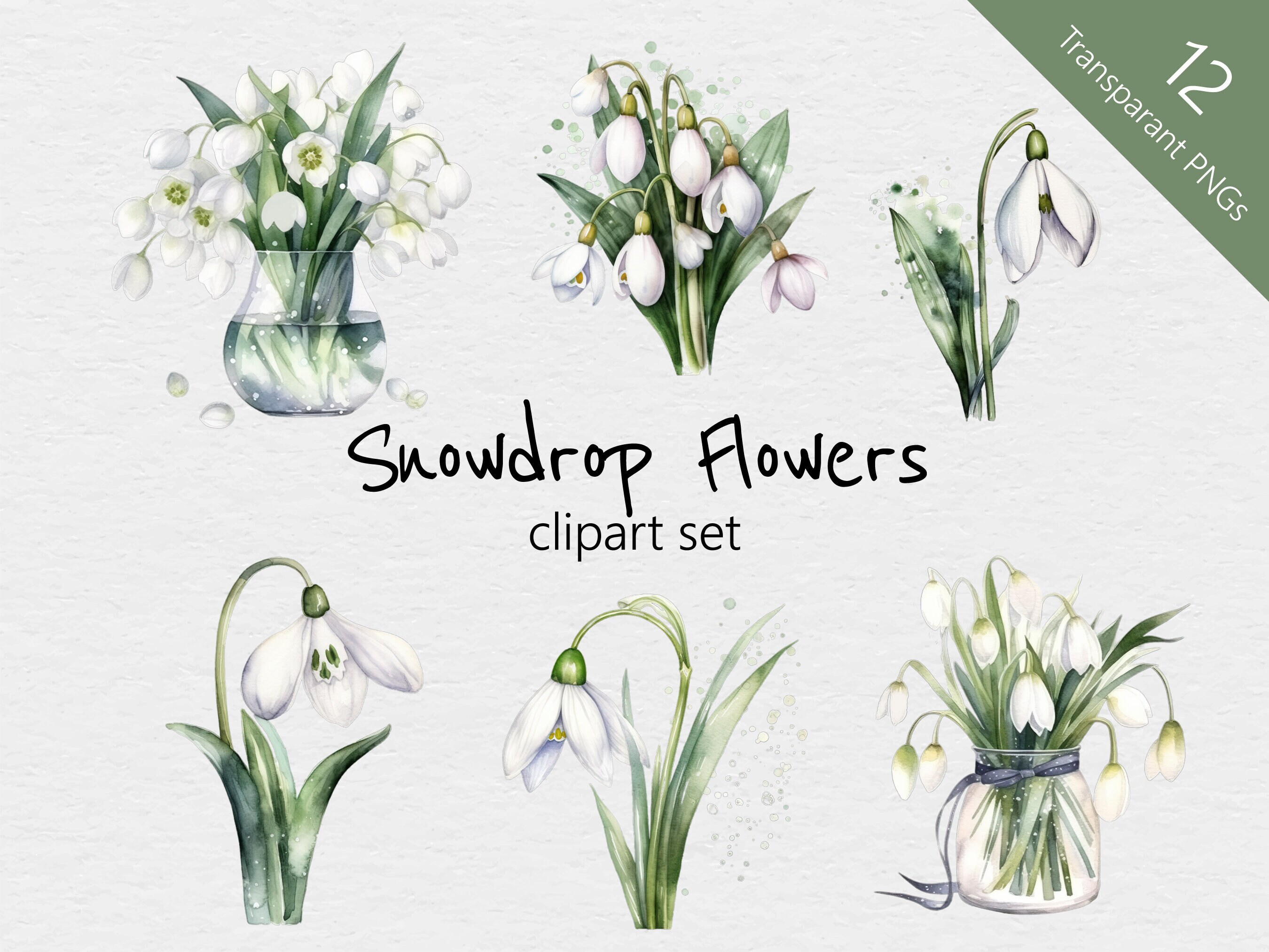 Snowdrop Watercolour Clip Art - 12 Designs - Transparent PNG - January ...