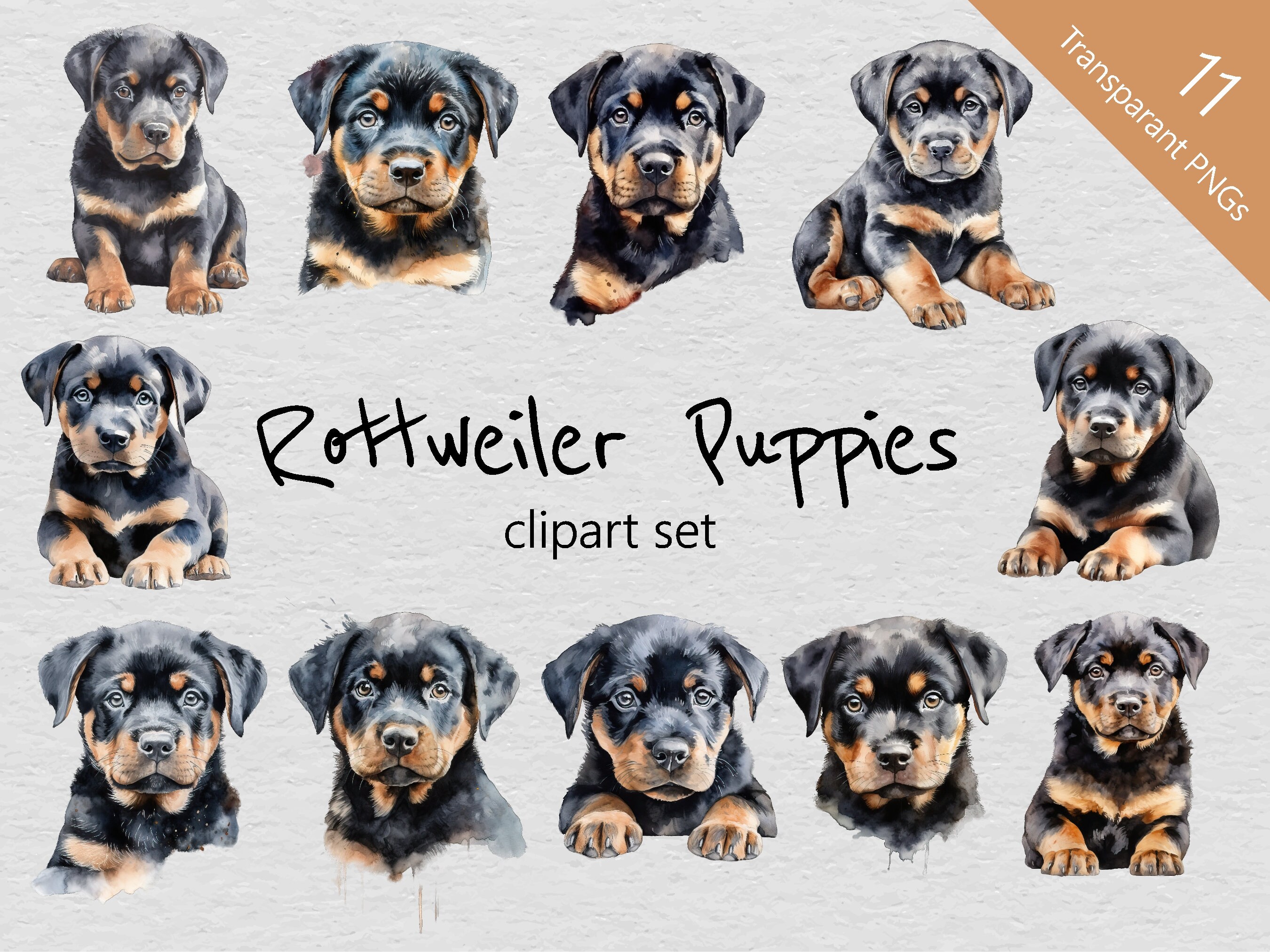 Rottweiler Puppies Watercolour Clip Art Set of 11 Designs Transparent ...