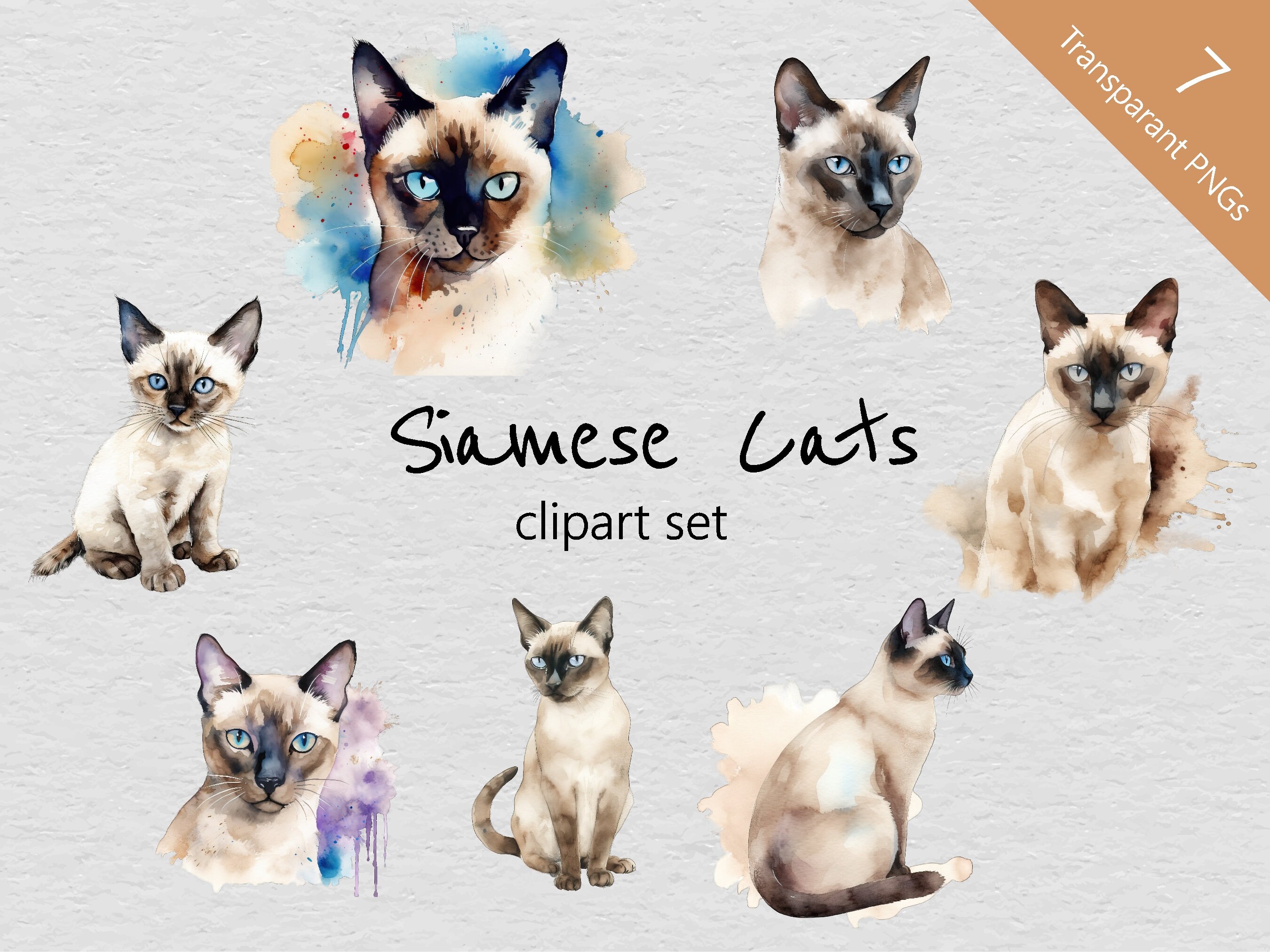 Siamese Cats Watercolour Clip Art Set - Set of 7 Designs - Transparent ...