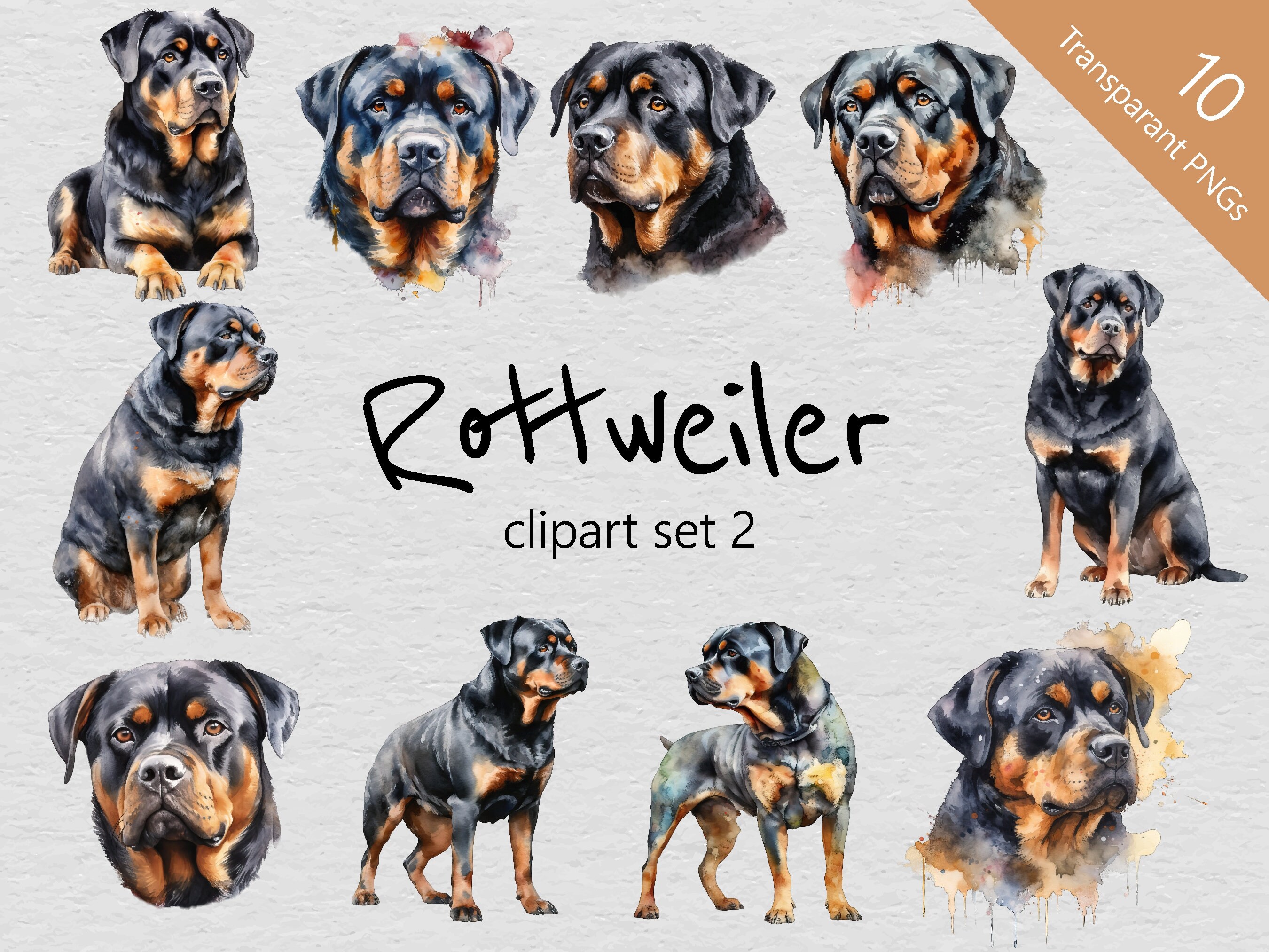 Rottweiler Watercolour Clip Art Set 2 - Set of 10 Designs - Transparent ...