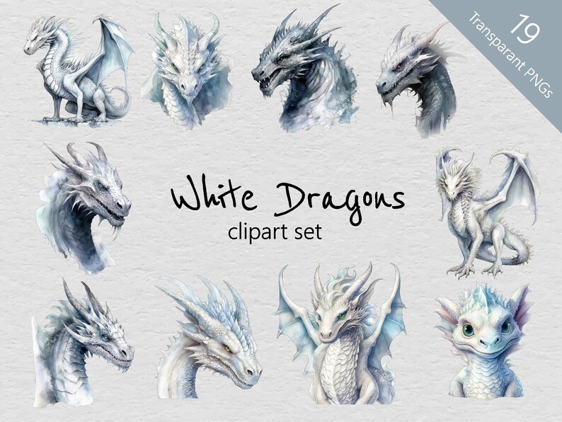 White Dragons Watercolour Clip Art Set 19 Designs Transparent PNG ...