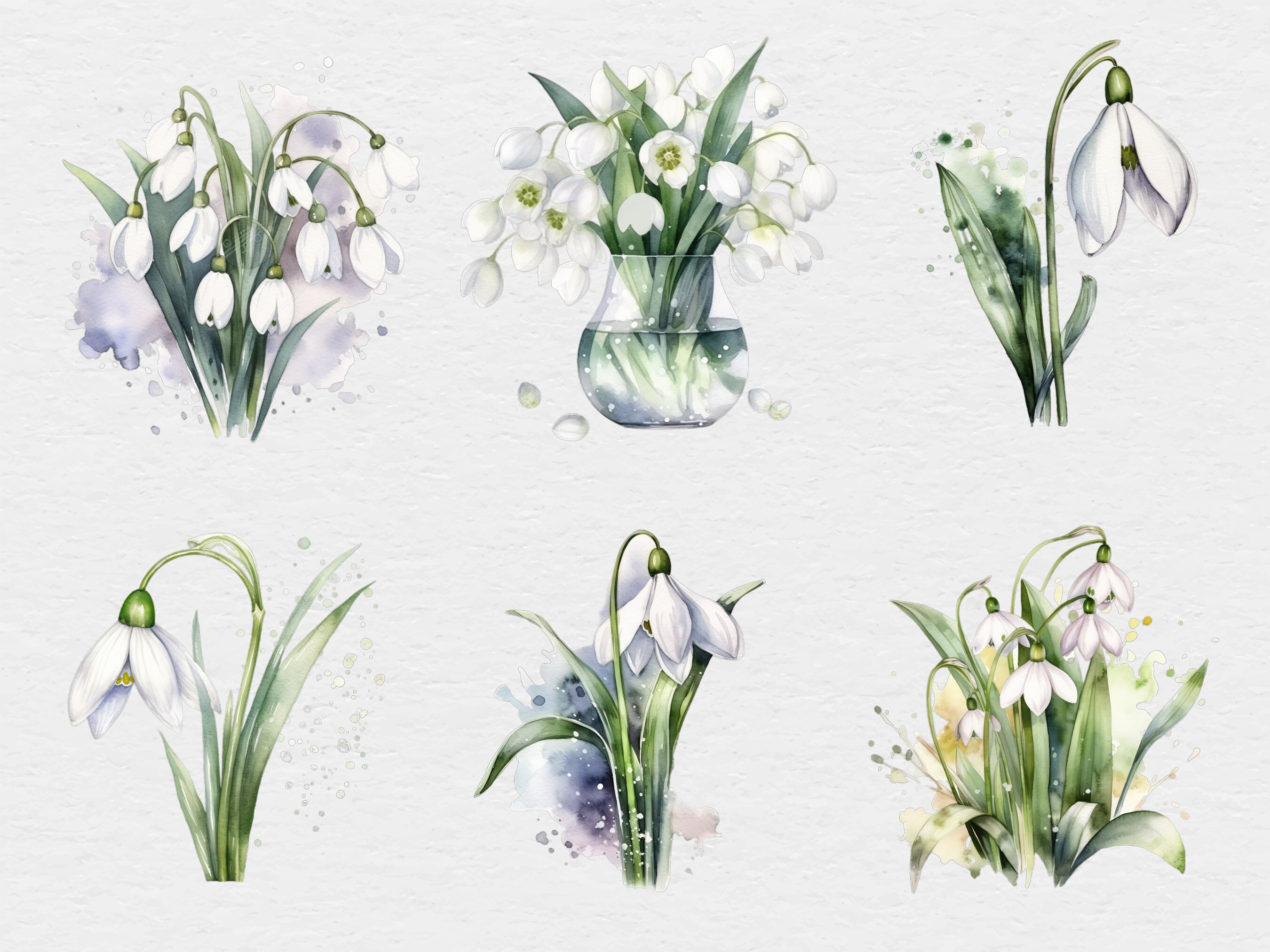 Snowdrop Watercolour Clip Art - 12 Designs - Transparent PNG - January ...