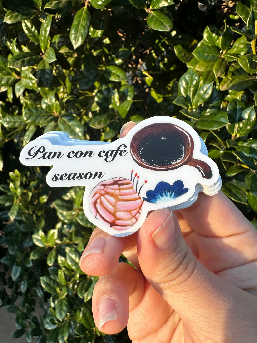 Pan Dulce Sticker, Waterproof, Mexican Stickers, Art Stickers - Etsy