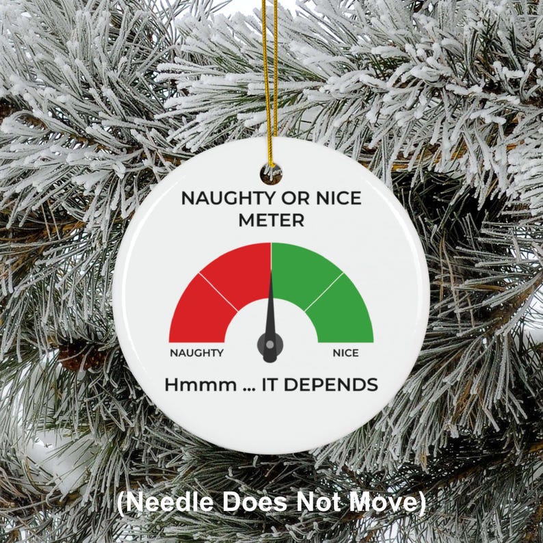 Funny Christmas Ornament, Naughty Nice Meter, Santas Naughty Nice List ...