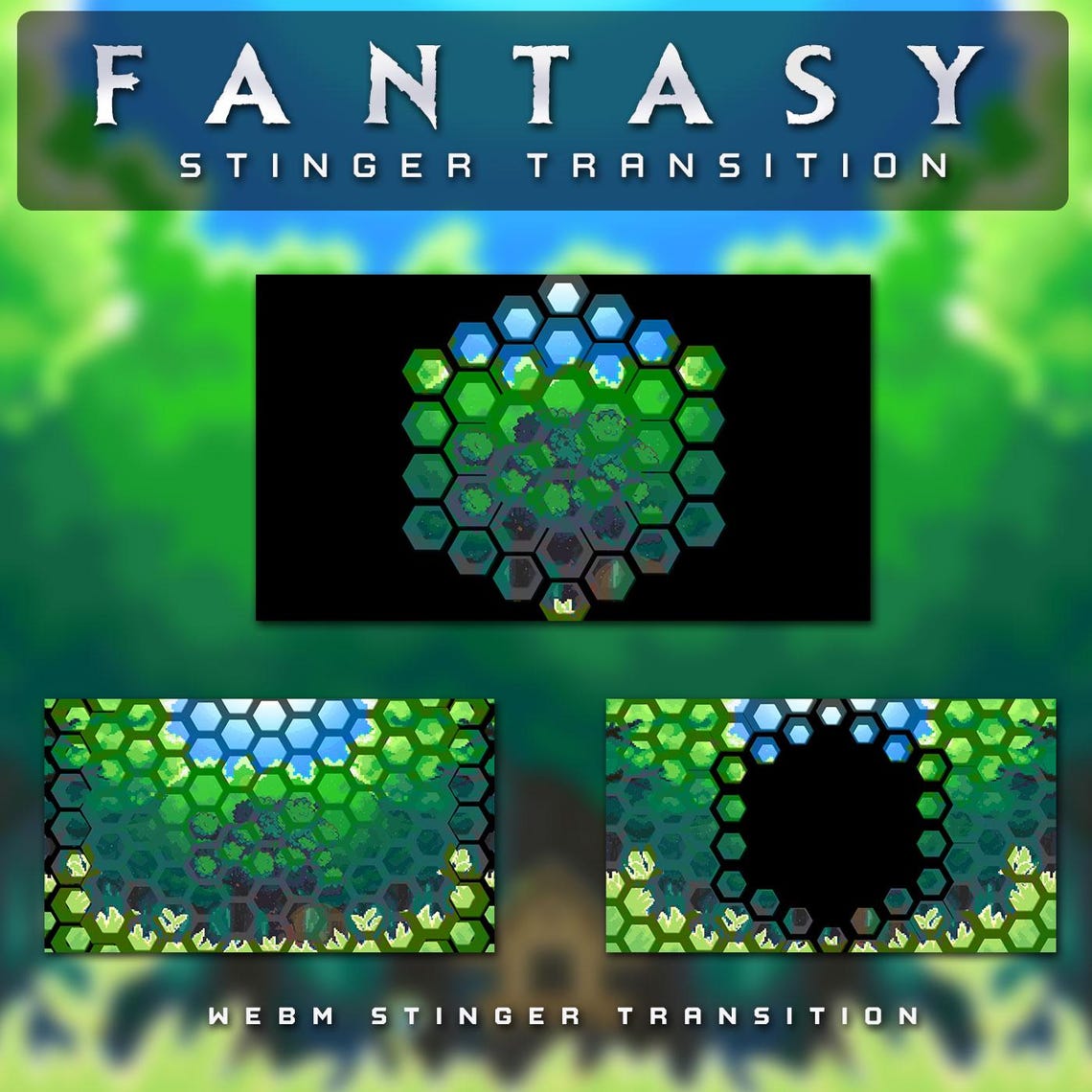 Premium Fantasy RPG Stream Package Twitch Stream Overlays Animated RPG ...