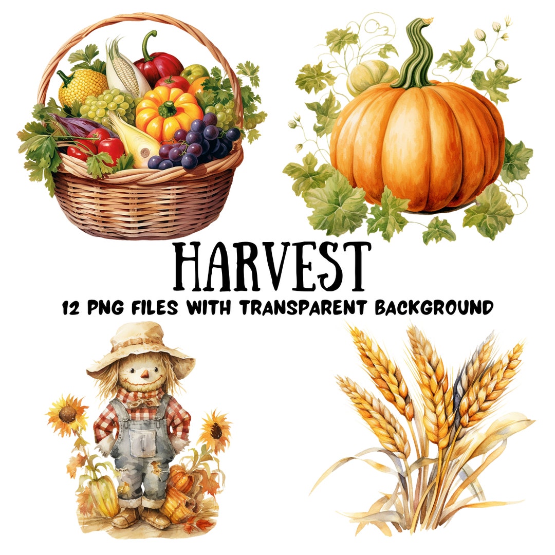 Harvest Watercolor Clipart Bundle Autumn PNG Instant Download Fall ...
