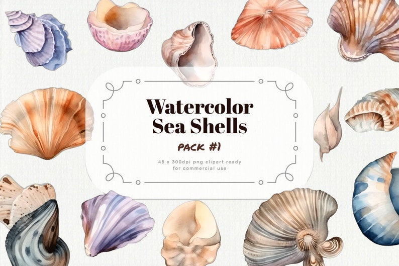 Watercolor Sea Shells Clipart Pack #1 - Dreamy Sea Shells in PNG Format ...