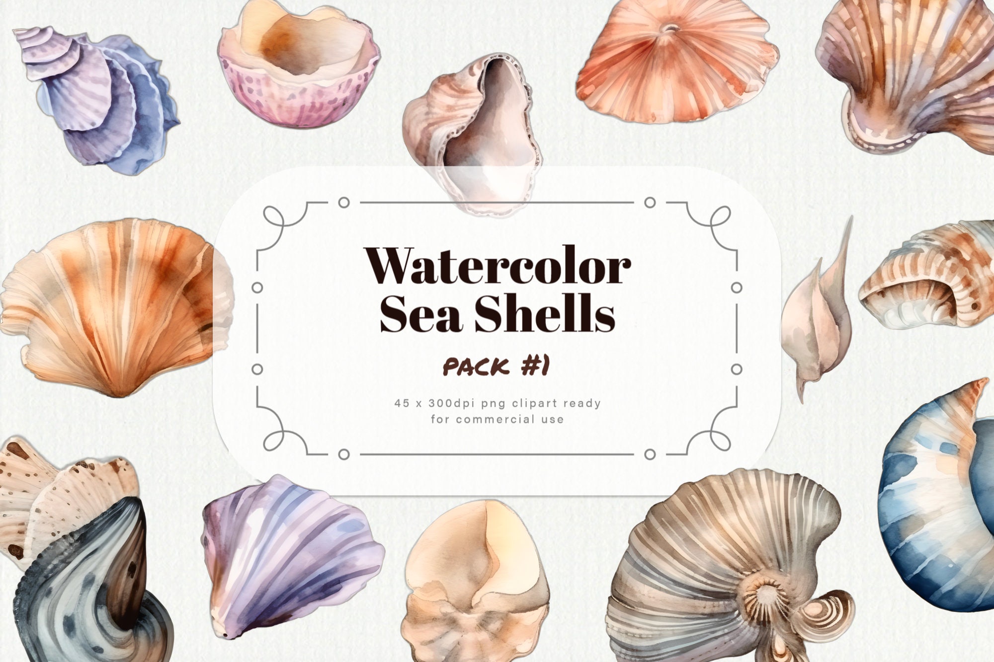 Watercolor Sea Shells Clipart Pack #1 - Dreamy Sea Shells in PNG Format ...